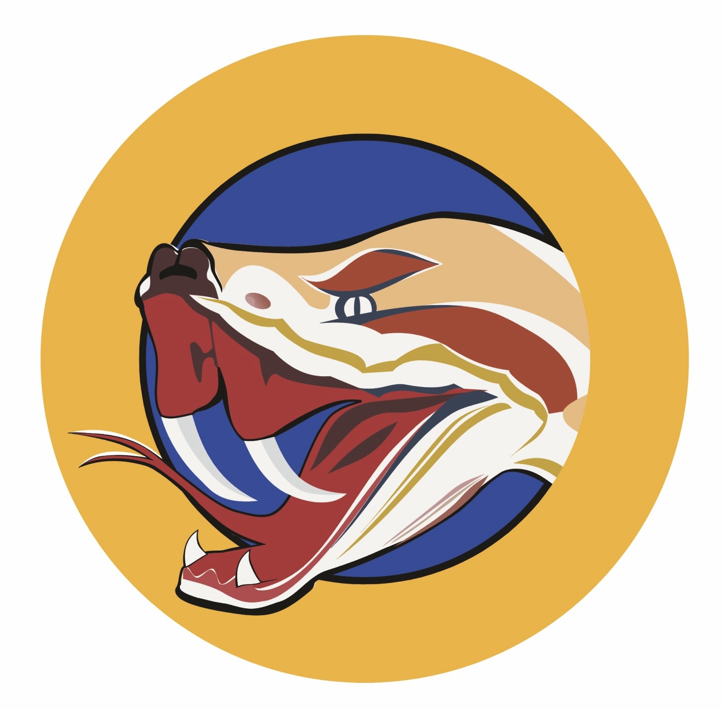 Iwo Jima VLR Mustang Squadron Markings Part III; 78th Fighter Squadron ...