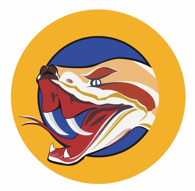 78th Fighter Squadron, 15th Fighter Group – Iwo Jima Models