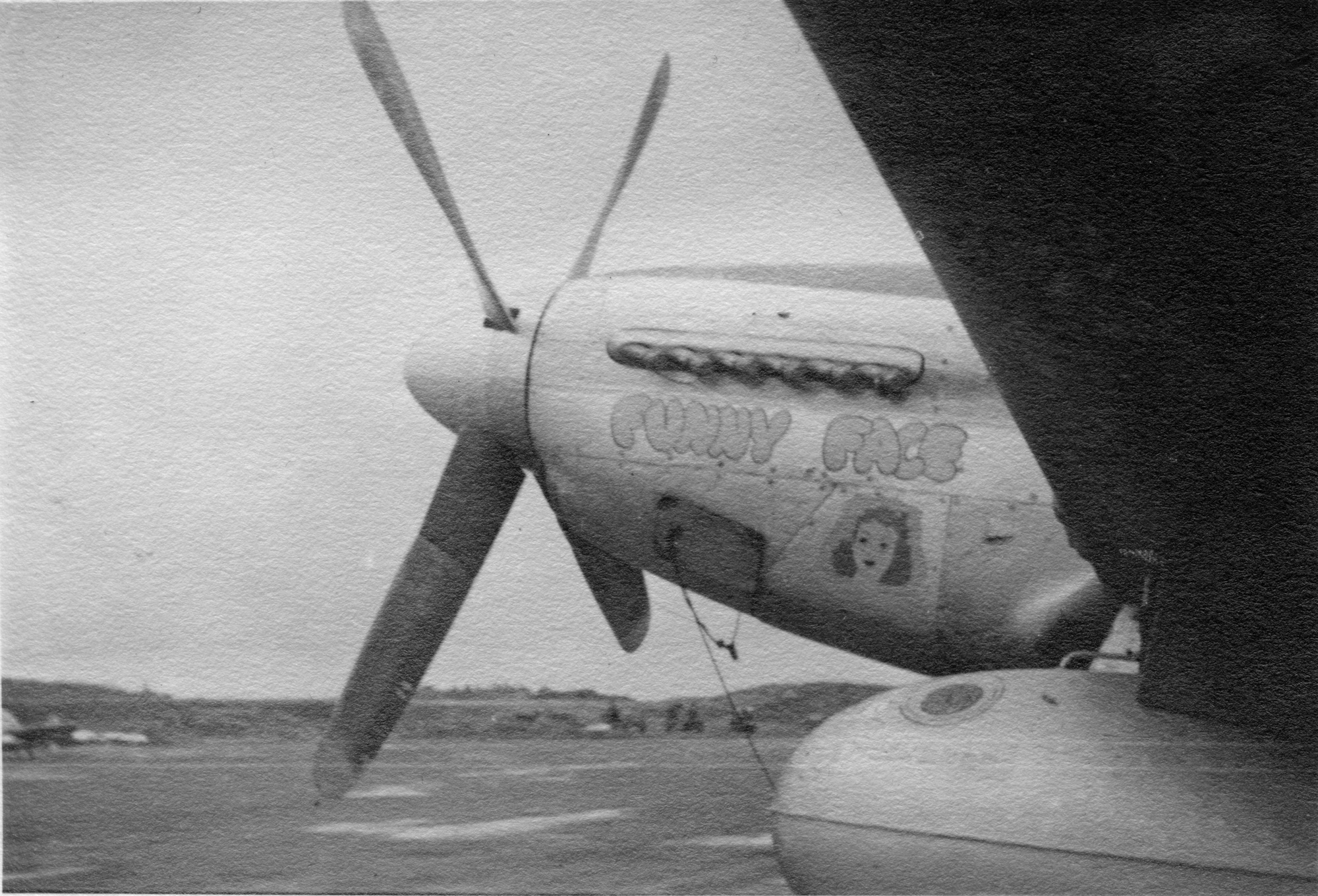 Photo(s) of the Week; 627 “Funny Face”; 462nd Fighter Squadron; 506th ...